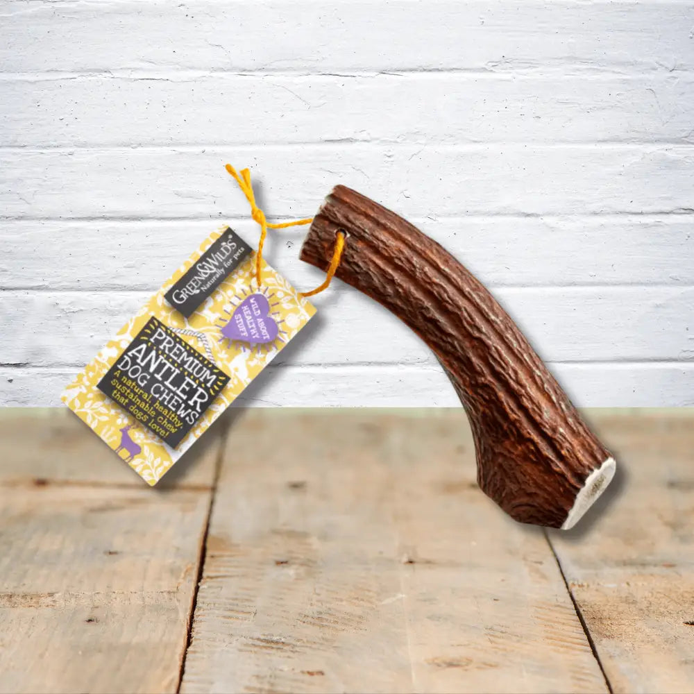 Green and Wilds Original Antler Dog Chew Red Deer Antler – The Pets Larder